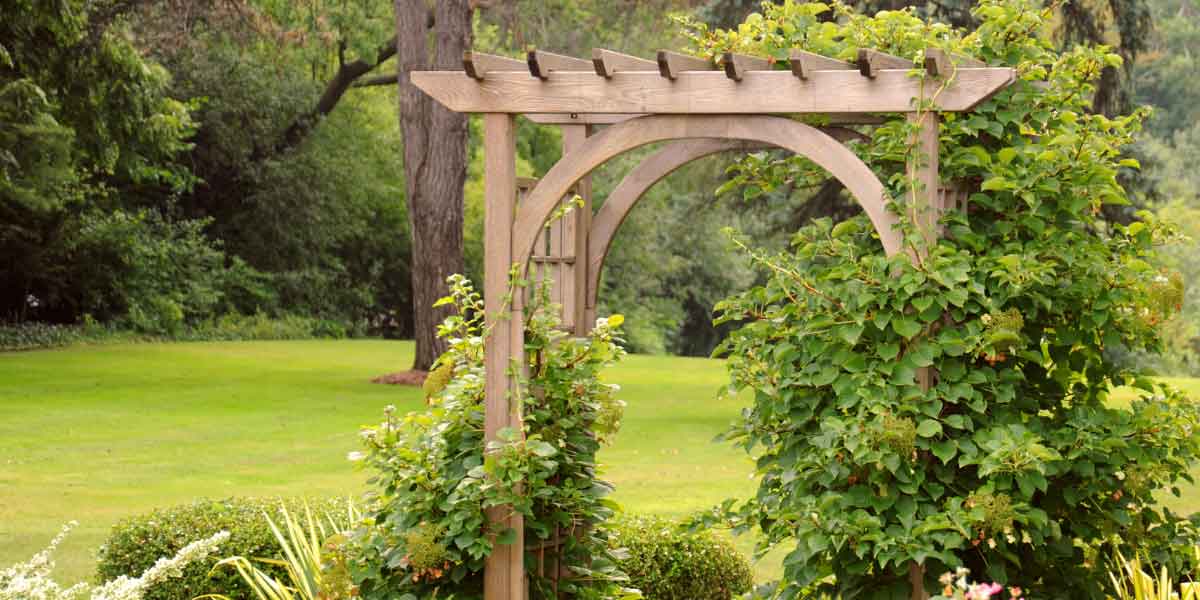 Trellis Types for Climbing Plants – Local expert