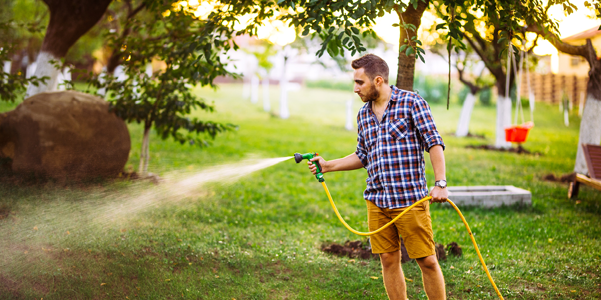 Season Guide to Watering Your Garden – Local Expert
